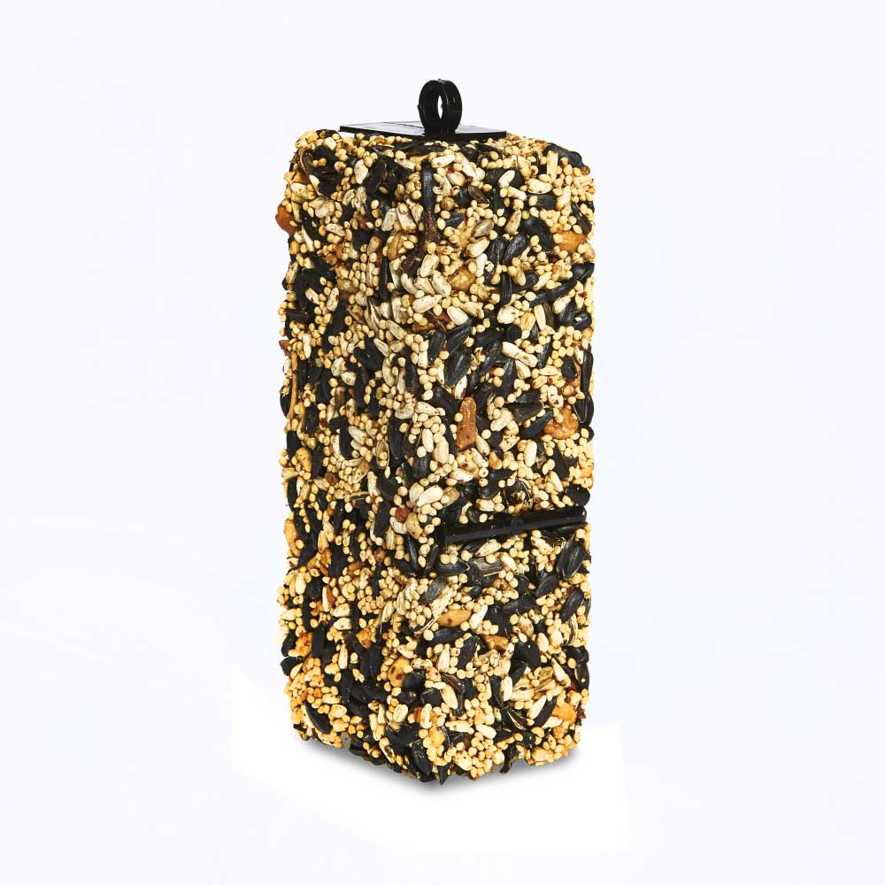 Gourmet Bird Bar : Suet Feeders, Seed Cakes, and Mealworms | Kaytee