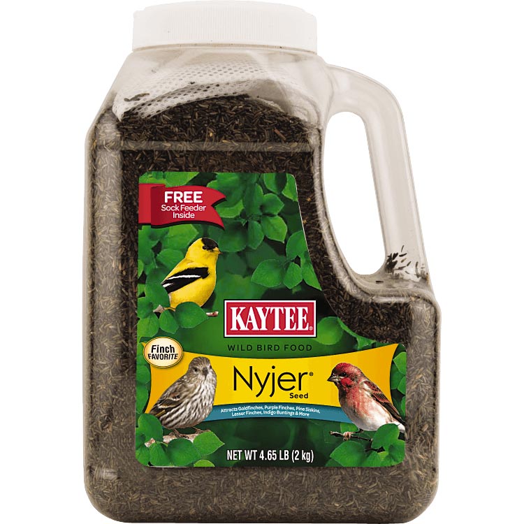 Nyjer® Seed: Wild Bird Feeders: Finch & Thistle Feeders | Kaytee