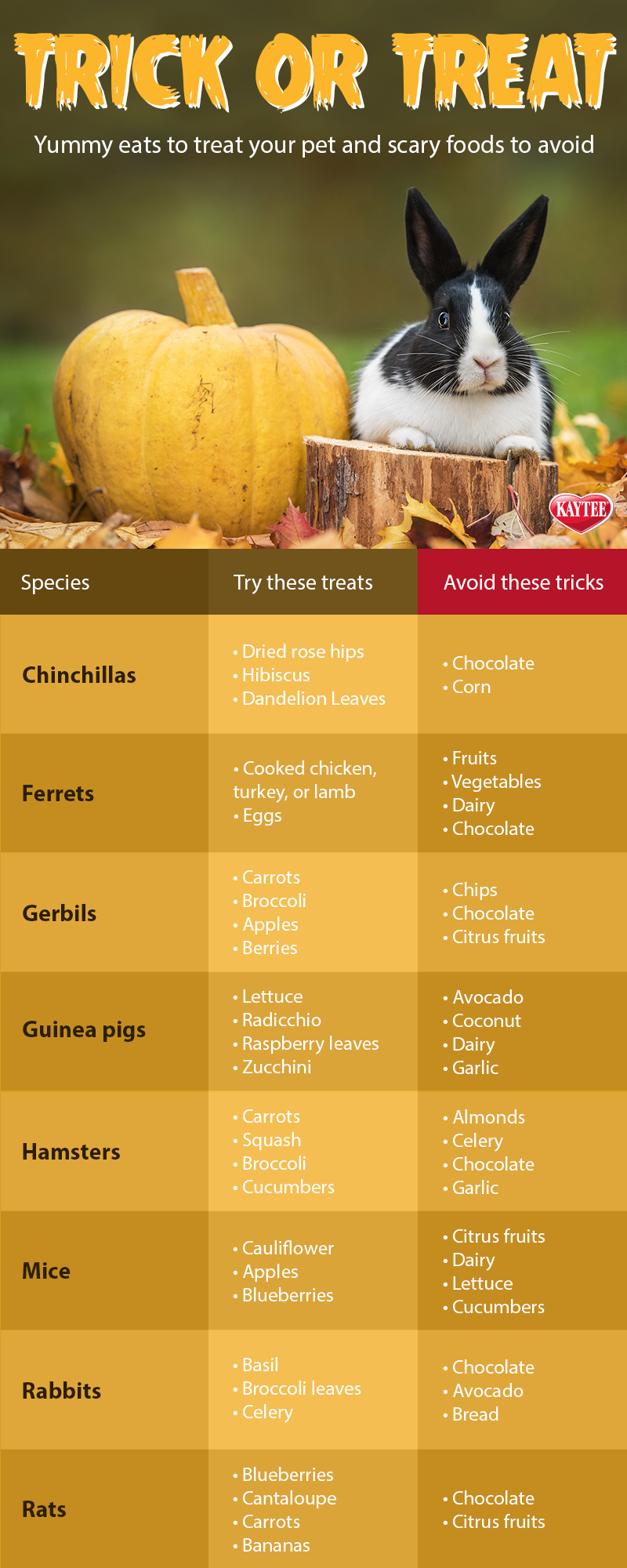 The Best Snacks for Small Animals & Foods to Avoids | Kaytee