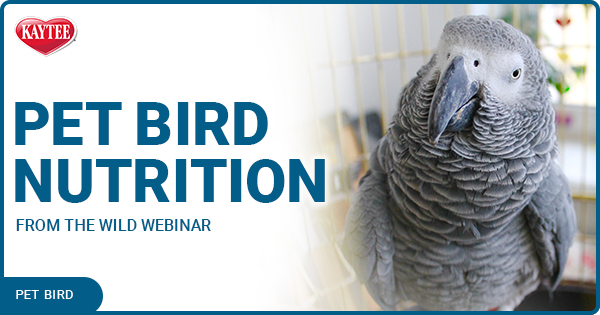 Pet Bird Nutrition from the Wild Webinar